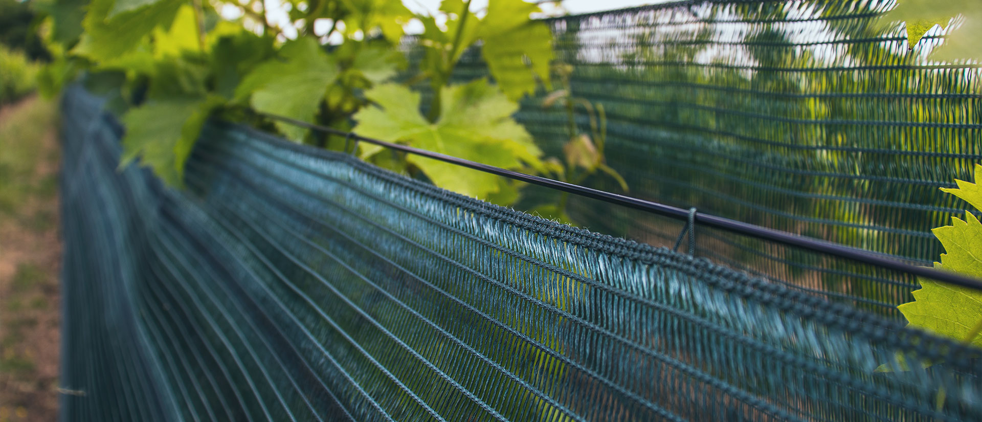 Hail Net Protection System - developed by Braided